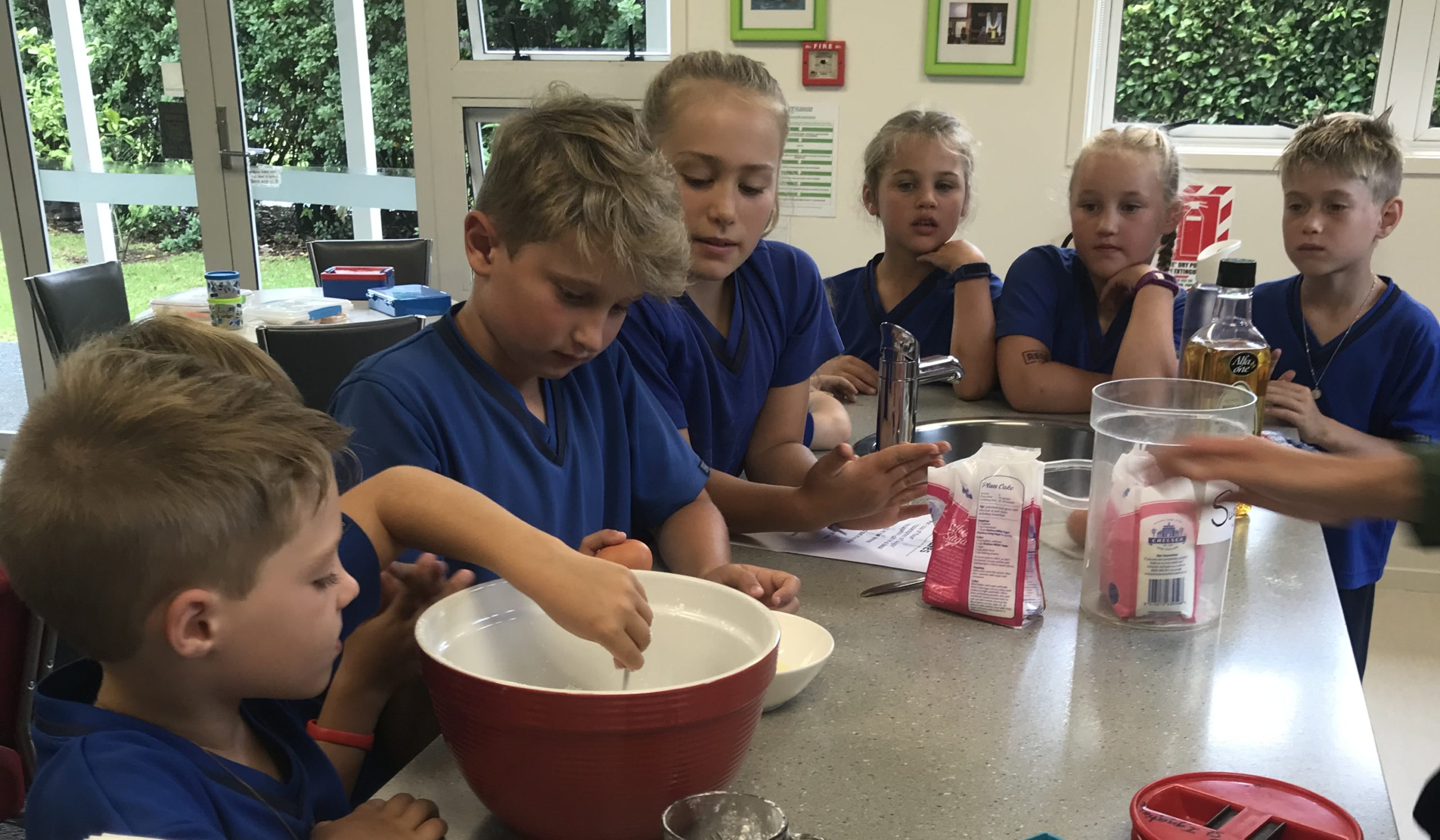 Strategic Plan - St. Ignatius